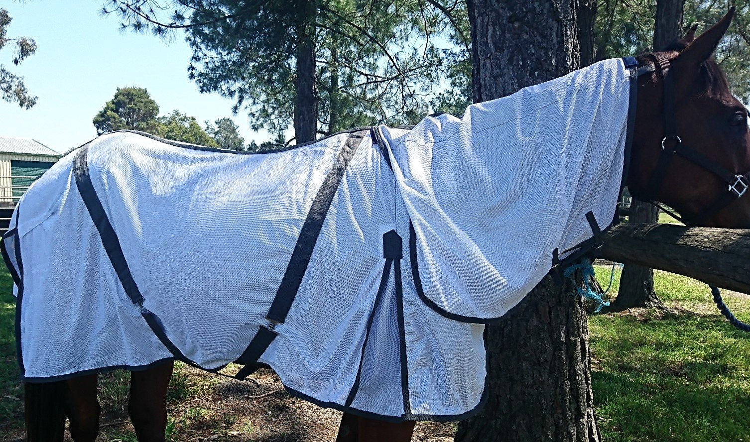 DS Mesh Combo – Denver Saddlery